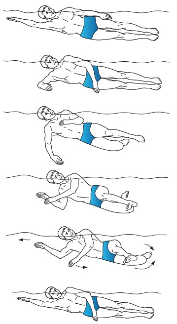 Swimming Strokes and Swimming Styles Explained - Sport Fitness Advisor