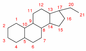 What is Turkesterone? Benefits, Uses and Side Effects - Sport Fitness ...